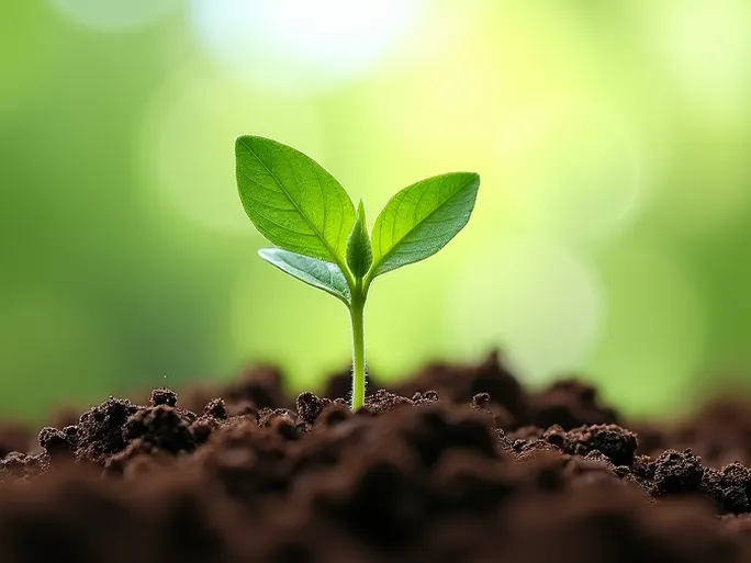 Shanghai Market Demand Rises for Crape Myrtle Seedlings