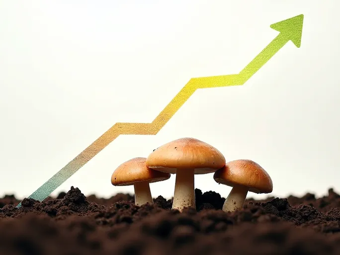 Guangdong Shiitake Growers Face Rising Spawn Prices