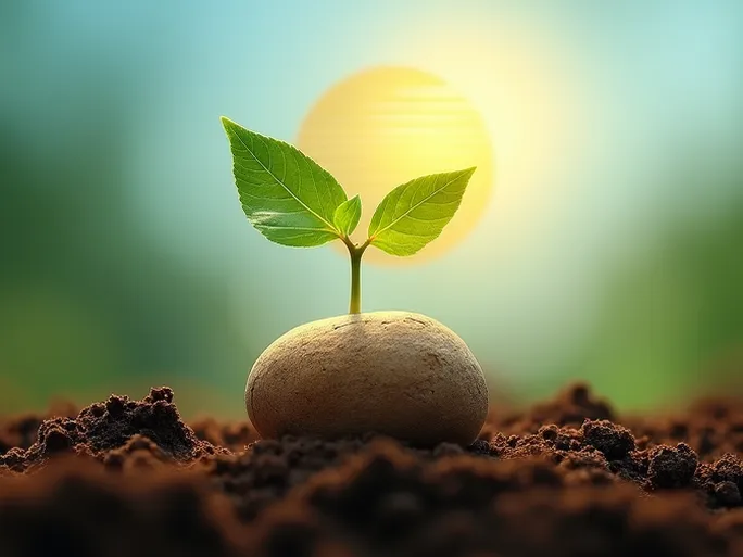 Guangdong Akebia Seed Market Trends for Efficient Cultivation