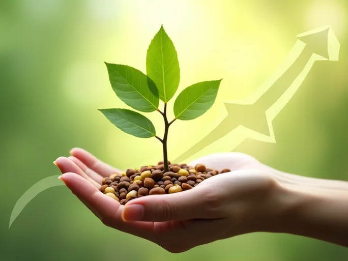 Henan Emerges As Hub for Goldenrain Tree Seed Sourcing