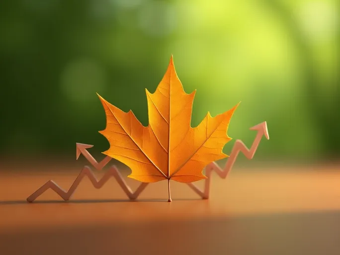 Henan Maple Seed Prices Rise Amid Shifting Market Trends