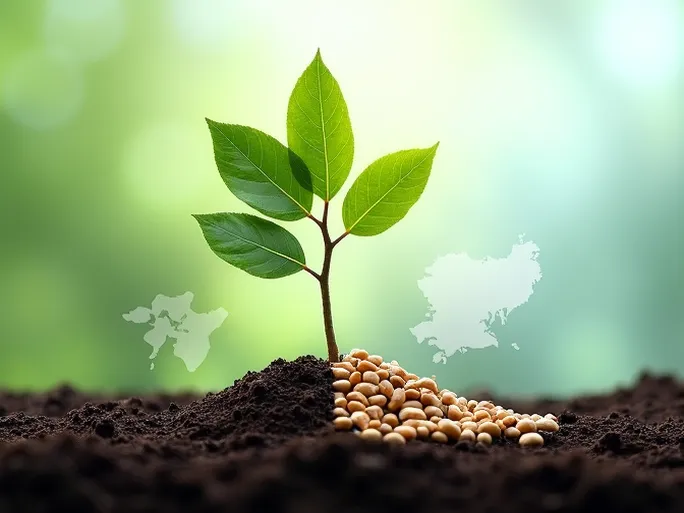 Macao Pear Rootstock Seed Market Guide for Growers