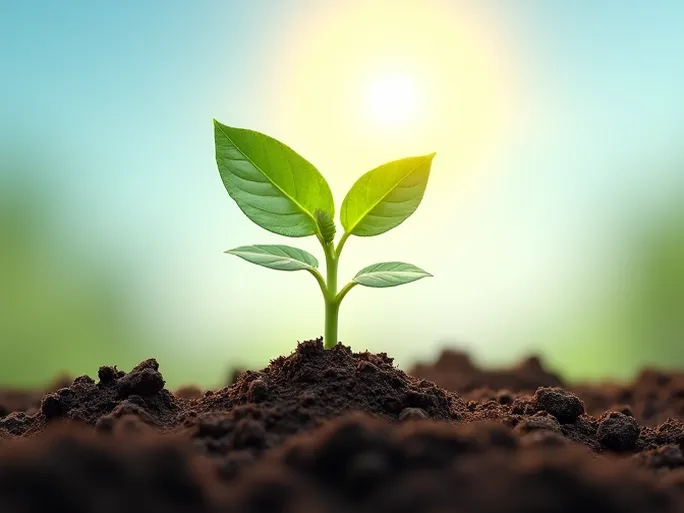 Expert Guide to Boosting Seedling Survival Rates
