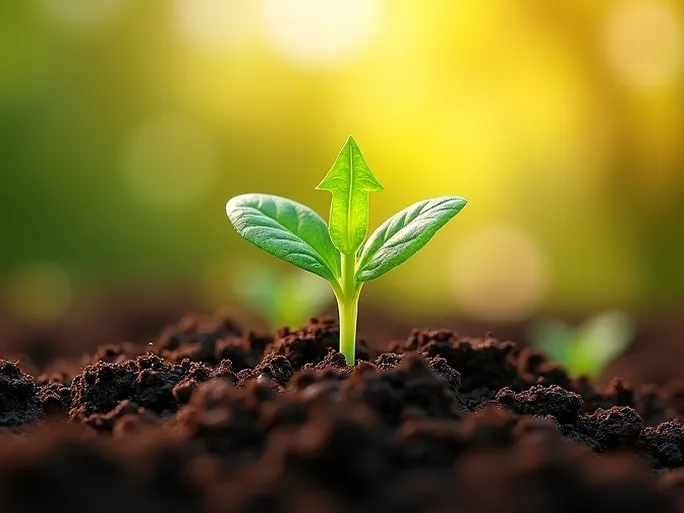 Anhui Seed Prices Stabilize Amid Crop Transition