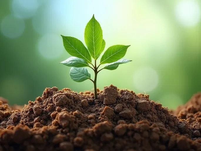 Shaanxi Boxwood Seed Prices Show Market Fluctuations