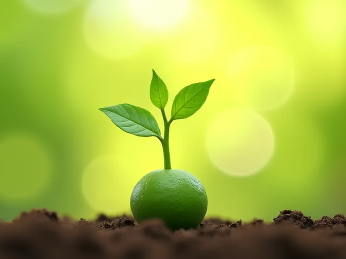 Chongqing Sorrel Seed Prices and Market Trends Analyzed
