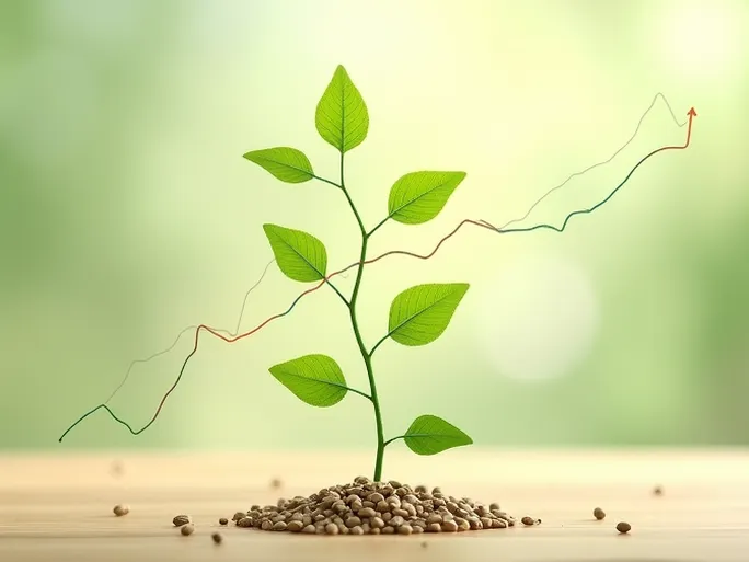 Ipomoea Quamoclit Seed Prices Shift in Henan Province
