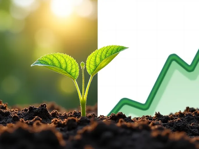 Qinghai Pumpkin Seed Prices Surge Impacting Growers