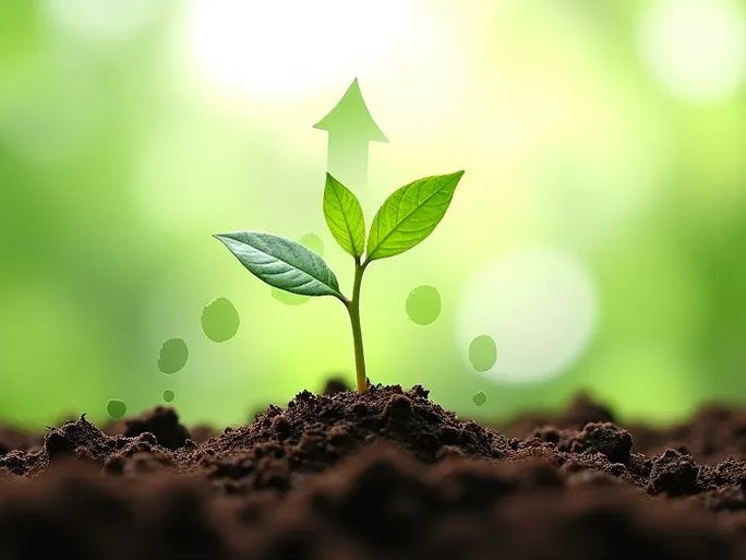 Fujian Growers Face Rising Sand Ginger Seedling Costs