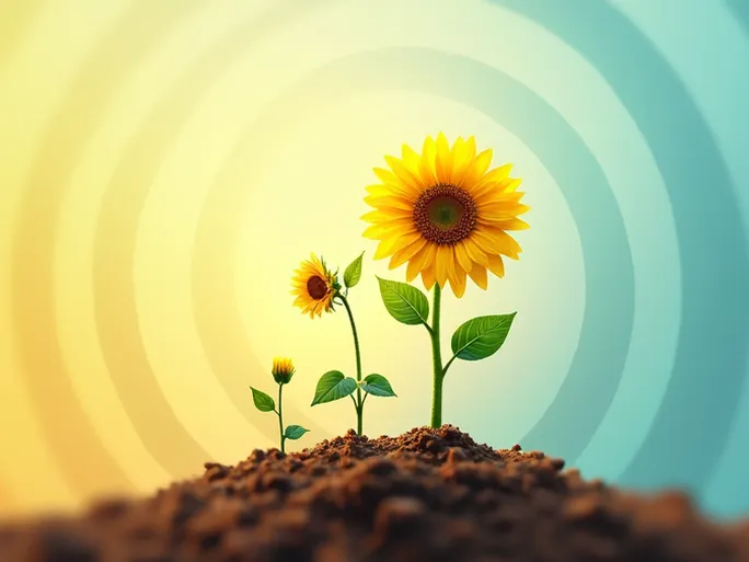 90day Guide to Growing Miniature Sunflowers on Balconies