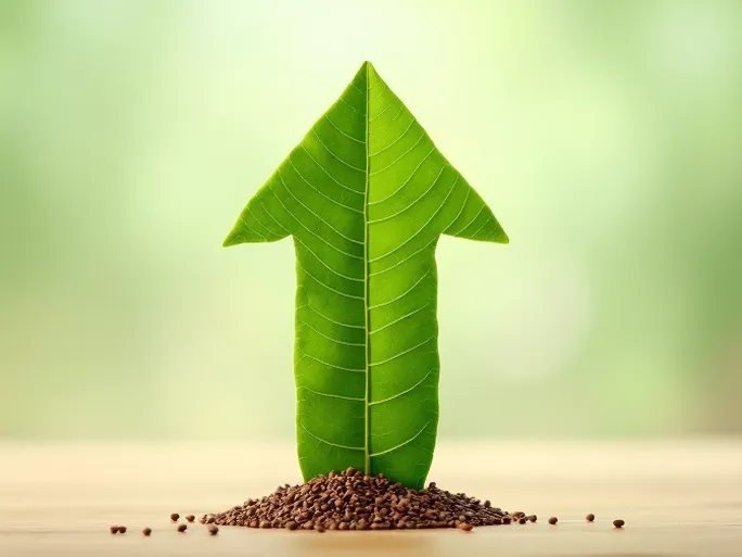 Macau Sichuan Pepper Seed Prices Rise Amid Market Demand