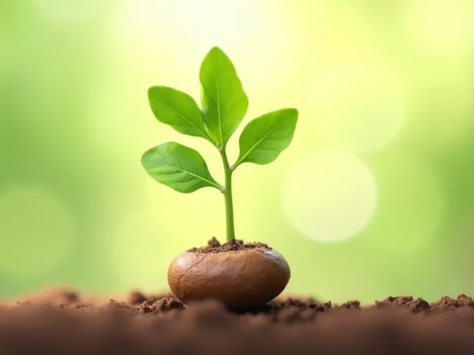 Jilin Radish Seed Prices Surge Amid Rising Demand