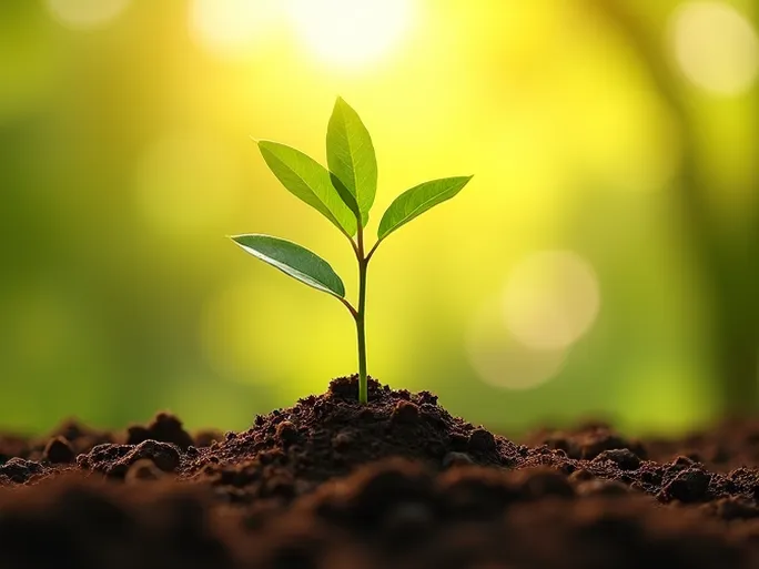 Gansus Seedling Market Thrives on Greening Demand