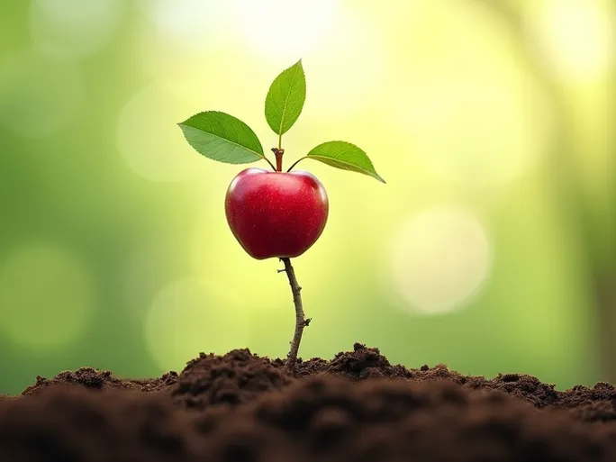 Gansu Star Apple Seed Prices Rise Amid Market Trends