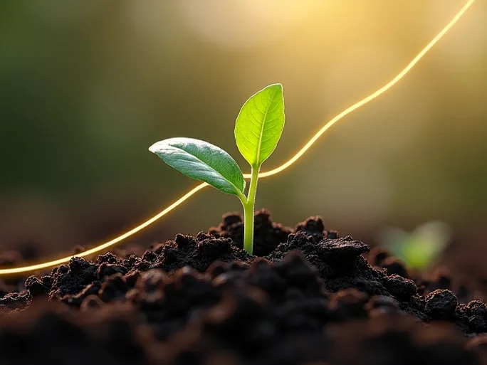 Heilongjiang Bitter Orange Seedling Prices Rise Amid Growing Demand