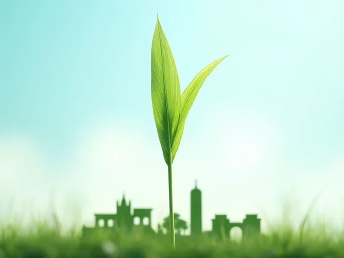 Macau Bentgrass Seed Prices Rise Amid Supply Challenges
