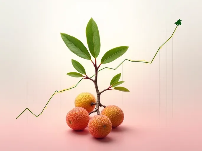 Yunnan Grafted Lychee Prices Rise Amid Surging Demand