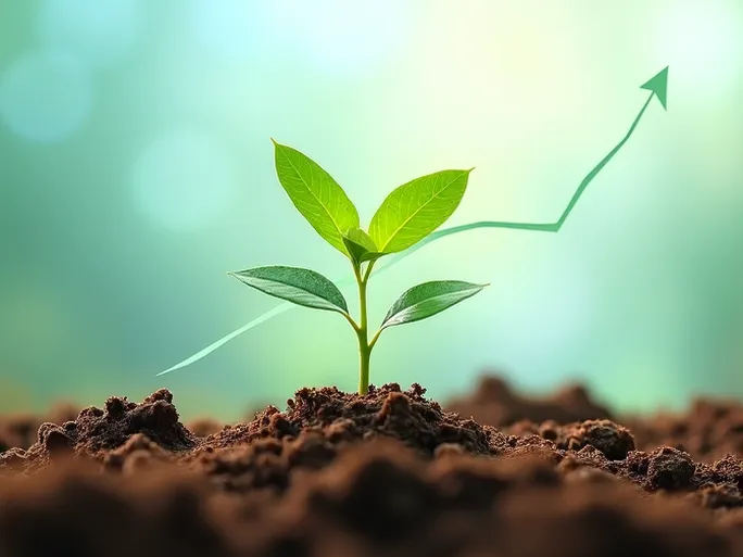 Qinghai Seedling Prices Rise Amid Market Demand Growers Advised