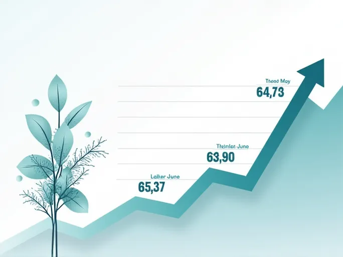 Polyester DTY Prices Edge Up Amid Industry Shifts