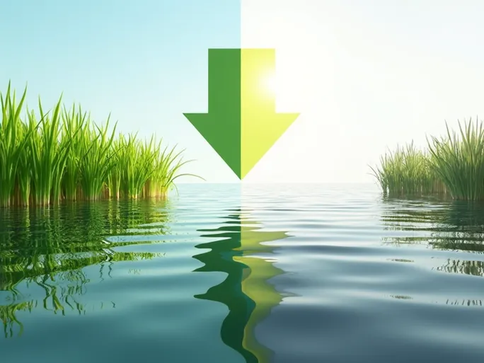 Shandong Water Hyacinth Prices Fluctuate in August 2025