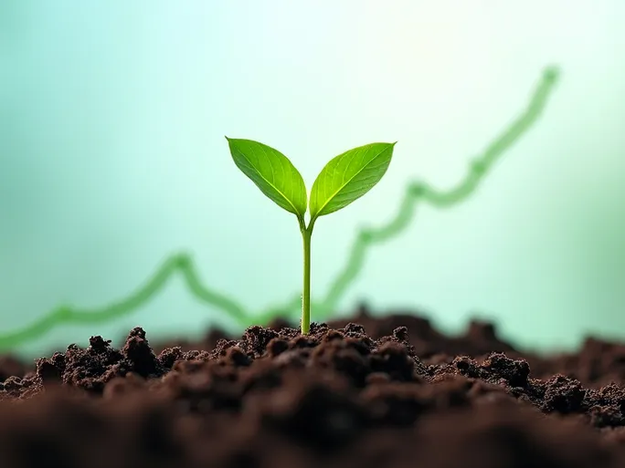 Inner Mongolia Dendropanax Seedling Prices Rise Amid Market Shift