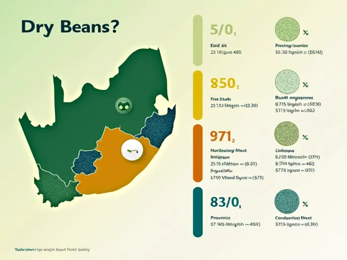 Free State Dominates South Africa’s Dry Bean Production, Data Shows