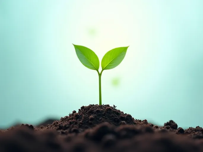 Macau Sees Rising Demand for Highcalcium Vegetable Seeds