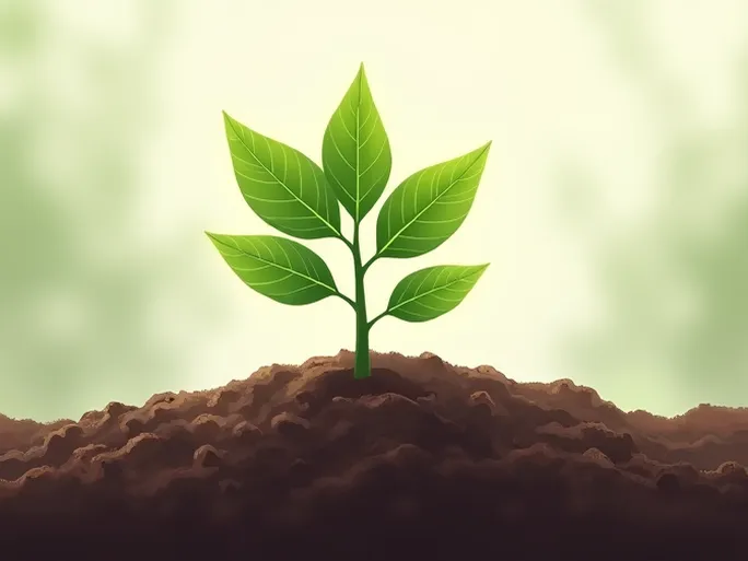 Henan Herb Seedling Market Grows Amid Rising Demand