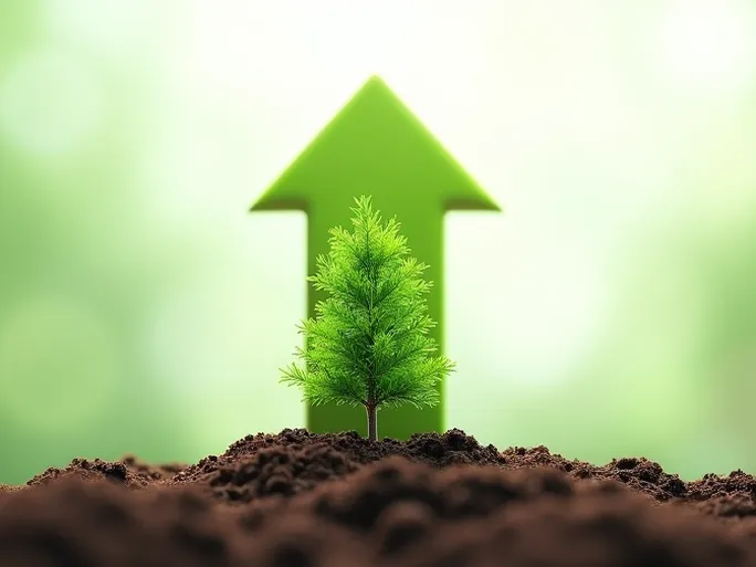 Henan Arborvitae Seedling Prices Rise Amid Market Shift