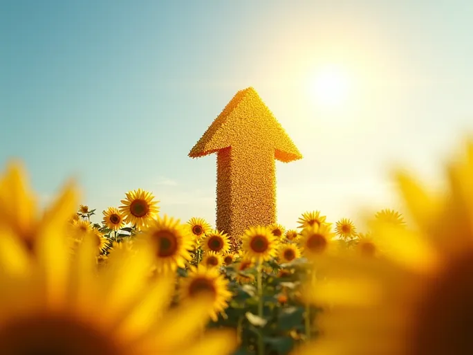Chinas Sunflower Seed Industry Targets Highquality Global Expansion