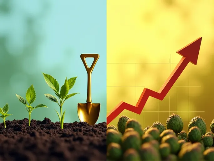 Jiangsu Ginger Seedling Demand Rises Amid Market Shifts