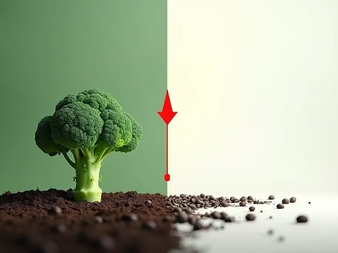 Qinghai Broccoli Seed Prices Reflect Local Market Trends