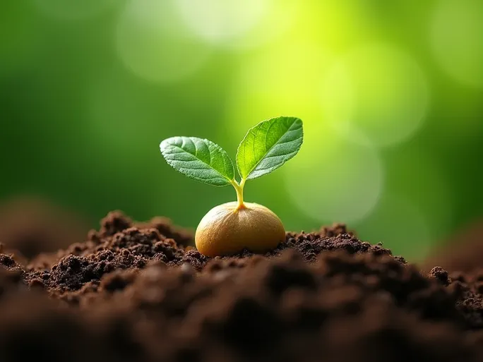 Henan Seed Market Guide for Buyers