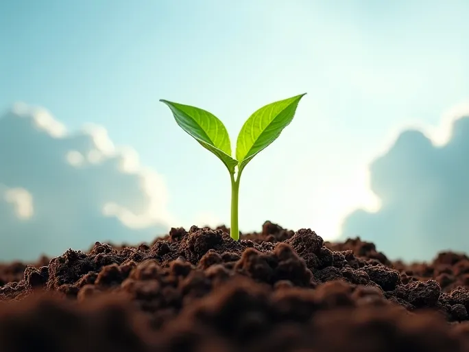 Guangxi Milk Vetch Seed Prices Shift Amid Supplydemand Changes