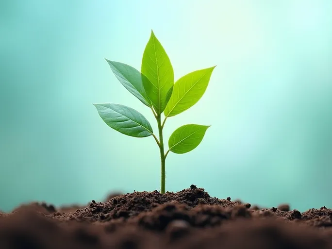 Qinghai Emerges As Key Source for Chinese Mahogany Seedlings