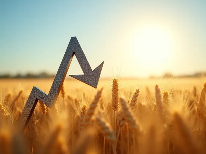 Russian Wheat Prices Fall on Strong Harvest Outlook
