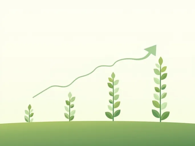 Jilin Blackcurrant Seedling Prices See Volatility