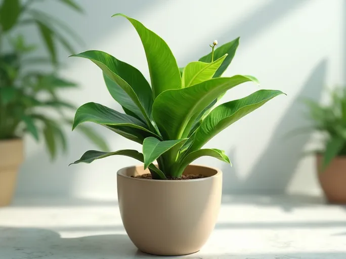 Guide to Growing and Caring for Ginger Lily costus Speciosus